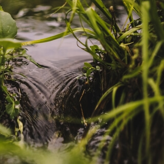 Trickling Stream Guided Visualization & ASMR Meditation | Rachel Dugas ...