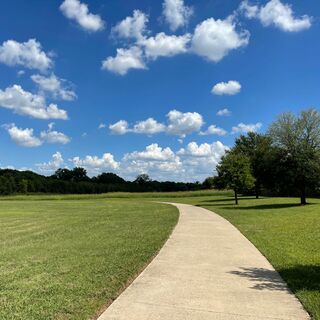 Your Life, Your Path, Your Way! | Insight Timer