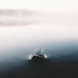 Zen Mind and No-Mind | Seiso Cooper