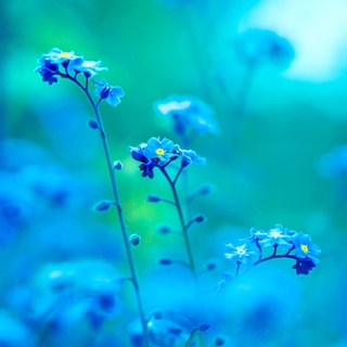 Developing Your Intuition: Introduction | Traci Stein