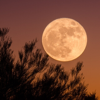 Virgo Full Moon - March 2022 | Jackie Campbell