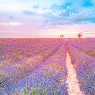 Allowing A Broader Perspective | Jennifer Vroom