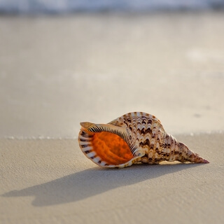 Compassion Subliminal Affirmation Soundscape For Self Love | Alisa T