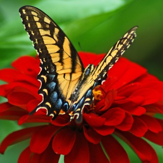 Frustration! | Ariel Hardy