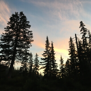 Brief Mindfulness Moment | Heather Talbot