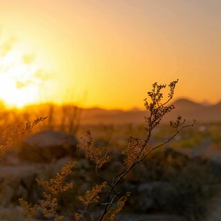 Being With And Transforming Limiting Beliefs | Freebird Meditations