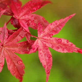 Guided Meditation With Ven. Pomnyun Sunim (Jul19, 2020/S15) | Ven ...