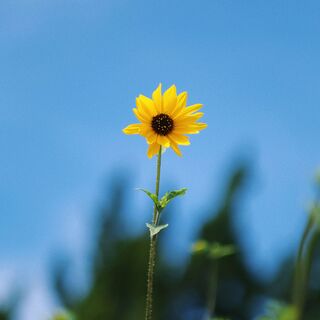 Receptivity To Creativity | Jennifer Eckhardt