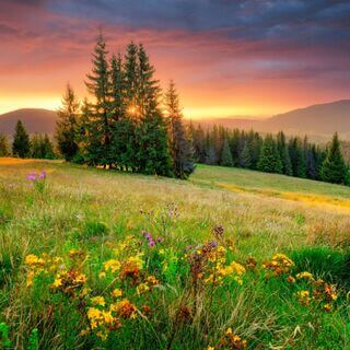 Contemplating Tranquility - Tao Wisdom - I-Ching 11 | Helen Hansen