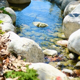 Progressive Muscle Relaxation To Prepare For Sleep | Anna Pelzer