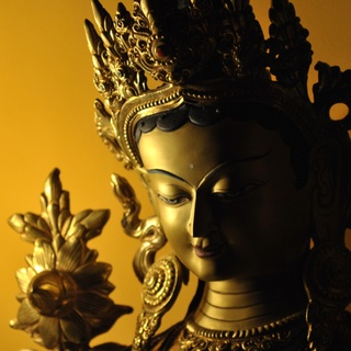 Attract Abundant Money With Yellow Tara Mantra | Starfire Meditation