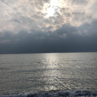 Discovery | Marcus C Dolan