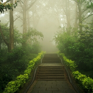 Loving Yourself Each Step Of The Way | Sarah Dion Brooks-Shriver