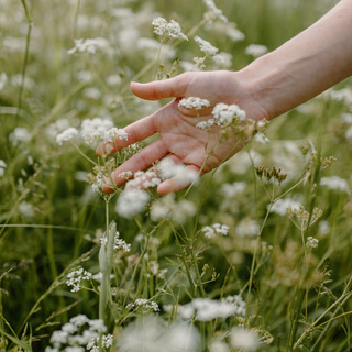 Connecting With Your Inner Guide | Gillian Sanger