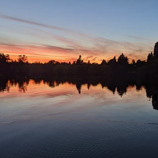 Earth To Sky | Alissa Lawrence