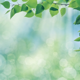 Morning Meditation: Body Scan For Peace And Relaxation | Craig Behenna