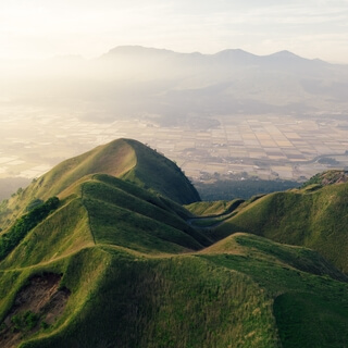 Nature's Symphony: The Ambient Sounds Of A Forest | Roshni Sharma
