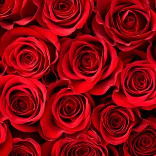 Boost & Balance Your Root Chakra - Guided Energy Meditation | Maria Rinné