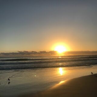 A Walk Through Life Meditation | Alexandra Nash