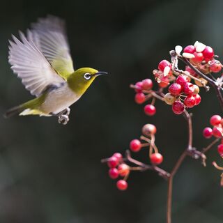 Acceptance And Creation: Declaring A New Reality | MEDITATION CHANNEL