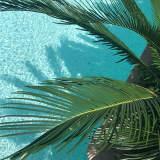 Anger Management | Neha Prabhakar