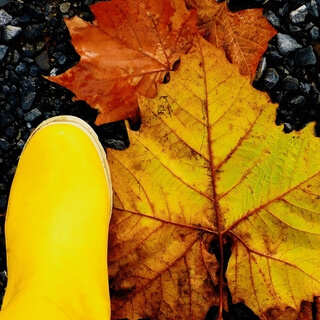 Keep Calmly Knowing Idiots: Practices For Working With Anger | Shell ...