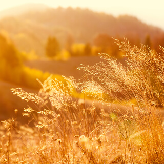 10-Minute Mindfulness Practice (Take A Break) | Matt Albury (Mattie ...