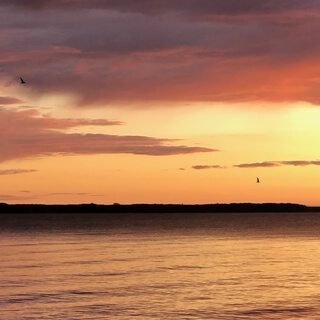 Gratitude + Connection Guided Meditation | Lisa Greenbaum