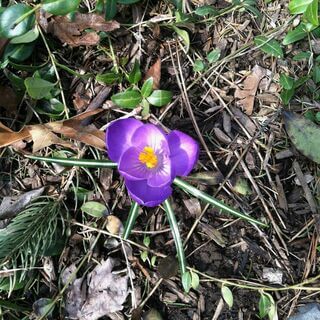 MBSR Mindful Yoga Movement For Floor | Chris Altizer, MBA, MA