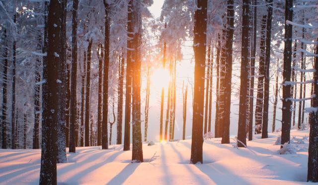 Delta Waves - Gratitude Frequency Sound Bath | Adrian Amegashie