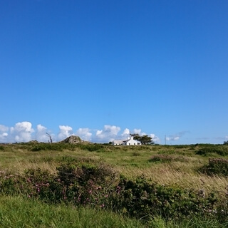 Lunchtime 'Check In' Meditation | Matt Albury (He/Him)