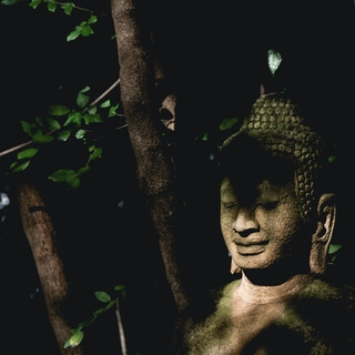 Surrender To Sleep | Rita Abdallah