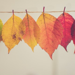 Awareness Of Breath Practice | Martin Summerfield