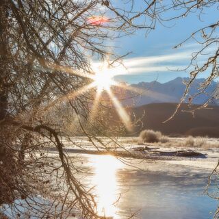 Winter Solstice Energy Meditation | Maria Rinné