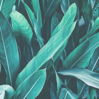 A Breathing Series: An Antidote To Over Breathing | Rachel Fearnley