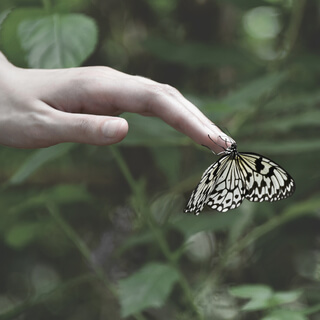 A Simple Body Scan Practice | Matt Albury (Mattie) (He/Him)