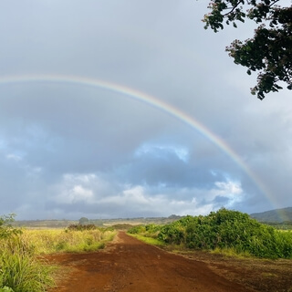 Guided Walking Meditation For Peace & Presence | Kate Manser