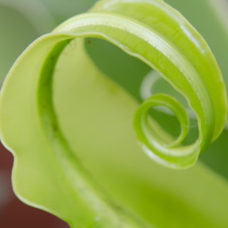 Anxiety Reduction - Anti-Anxiety Music | Sefy Tofan