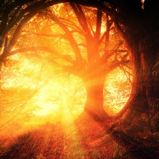 Go To Your Happy Place | Candy Foster