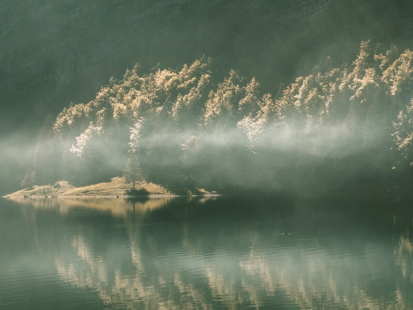 MARTH Hawaii Healing Music | Insight Timer