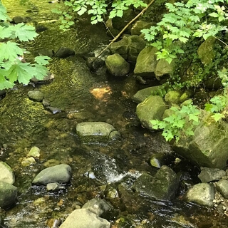 Safe Space - Visualization For Relaxation & Calmness | Lisa Voisin