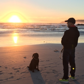 Zen Full Body Scan (25 Minutes) | ZenYo