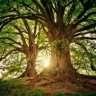 Meditação: Conexão com o oceano interior! | Karla Pellicano