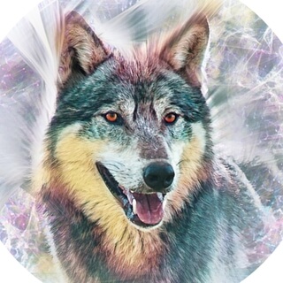 Unlock Your Hidden Strength: Discover Your Power Animal | Rae Caroline ...