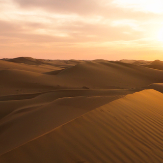 Dealing With Perfectionism | Sarah Thirkell