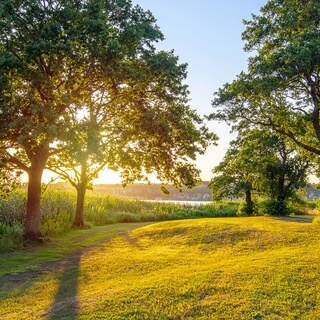 Julian Jenkins Mindfulness Body Scan | Julian Jenkins