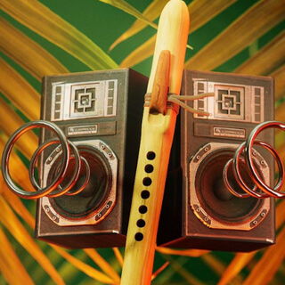 Jungle Bass | Musical Mindset