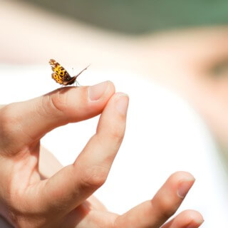 Release Limiting Beliefs | Corrie Corrigan