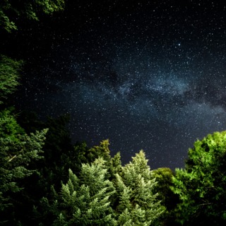 A Meditation To Help You Fall Asleep | Alexander Moller