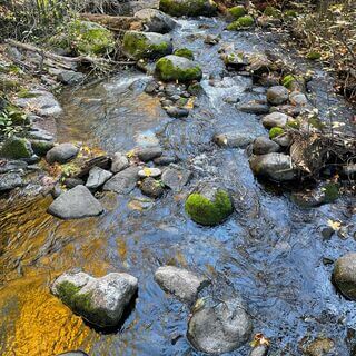 The Healing Stream | Mark Mezadourian
